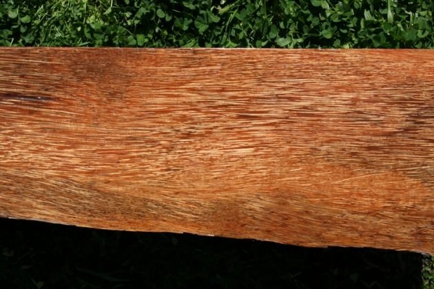 Begini Cara Mengawetkan Kayu Glugu yang Aman untuk Dilakukan - Bahan ...