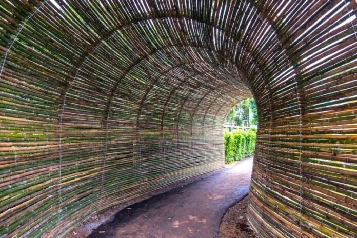 Keunggulan dan Kelemahan Bambu - Bahan Pengawet – Pengawet Kayu dan ...